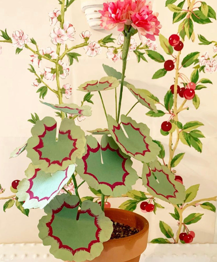 Paper Flowers Paper Geraniums – PapierFleurs