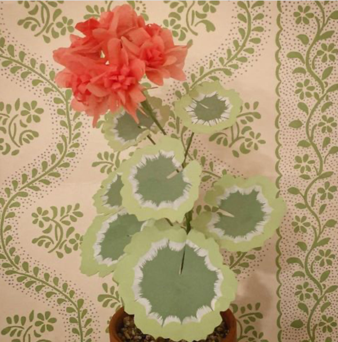 Paper Geranium - Small coral ombré blossom with dark green and mint le ...