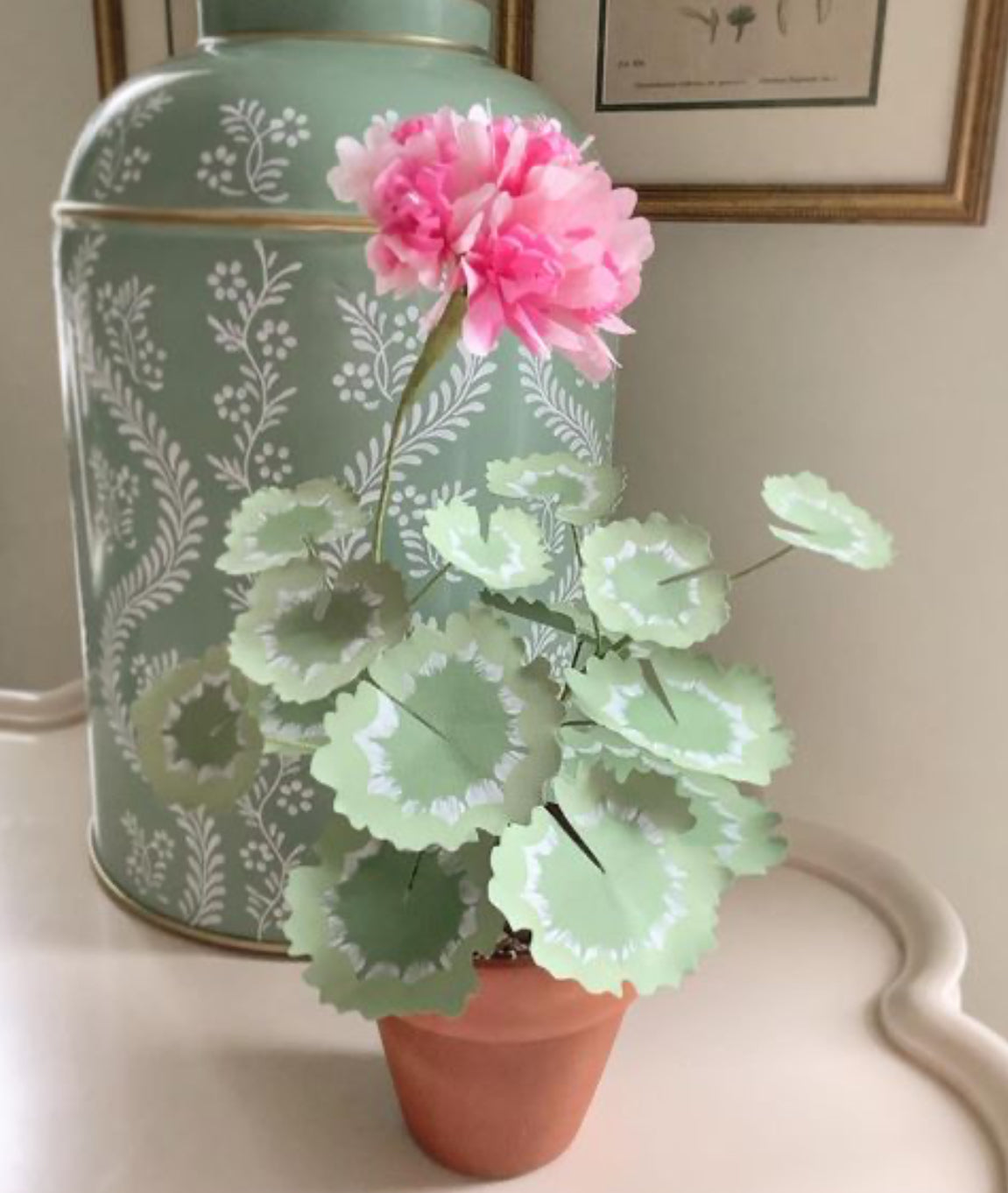 Paper Geranium - medium bright pink ombré blossom with dark green mint ...